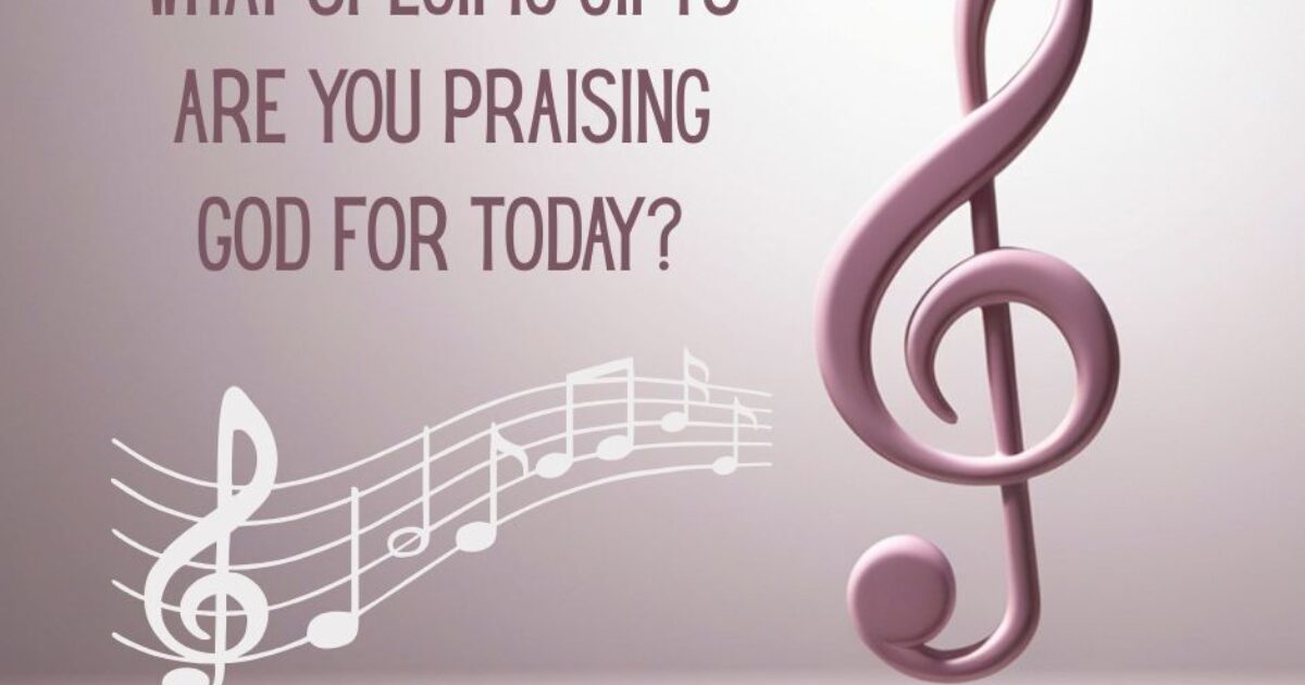 Worship Anew | A New Song
