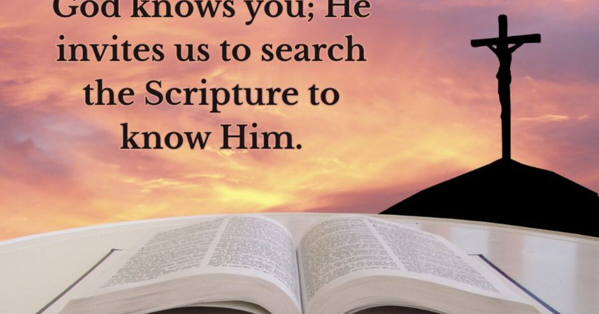 Worship Anew | Almighty Intelligence