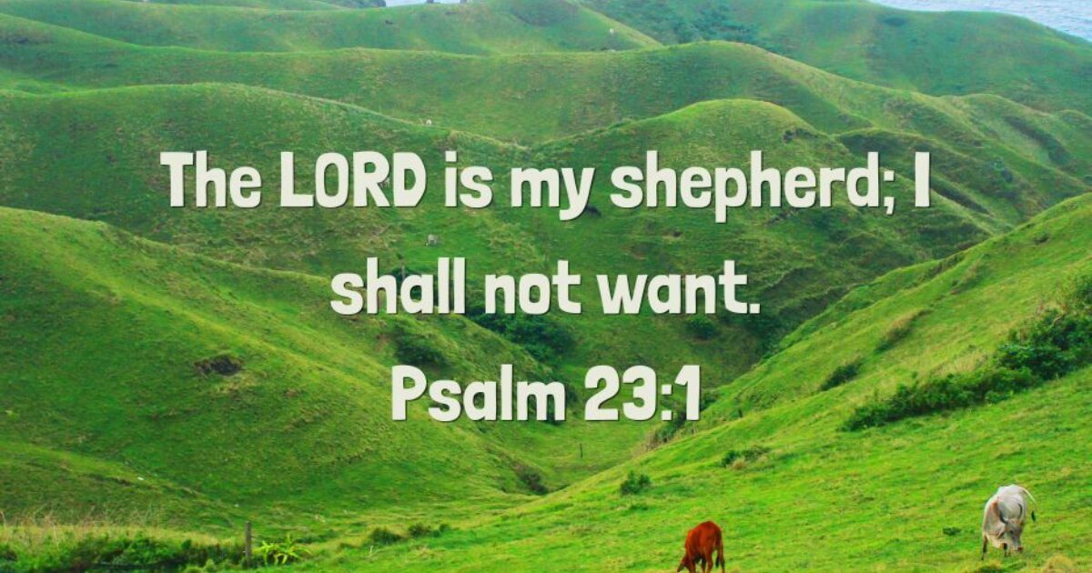 Worship Anew | Our Caring Father